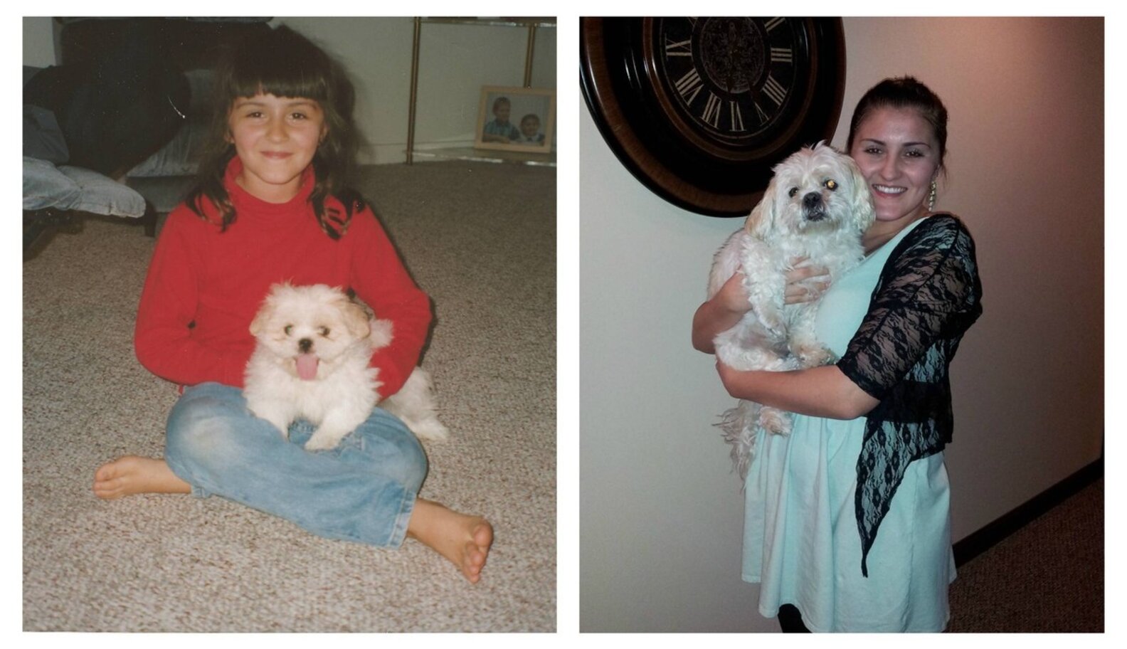 19 Heartwarming Photos Of Dogs And Their Humans Growing Up Together ...