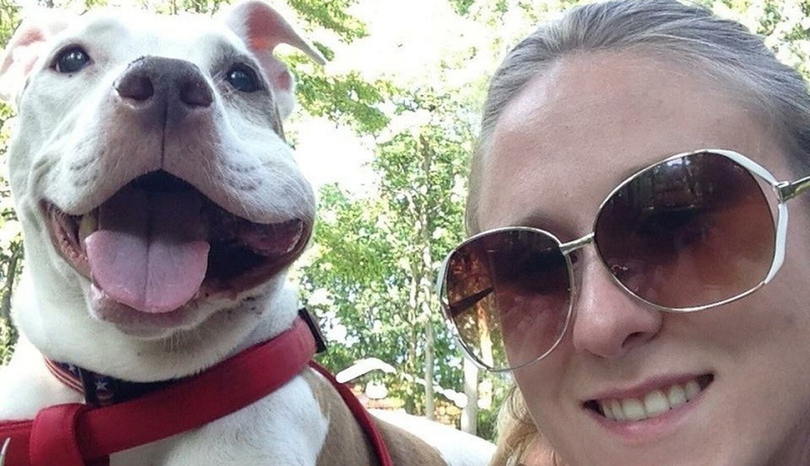 Loving Lucia: hospice dog's NY mom looks for original owners, to give ...
