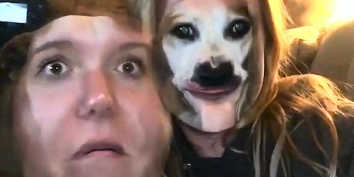 Trade Faces With your Pet For The Ultimate Freakout - The Dodo