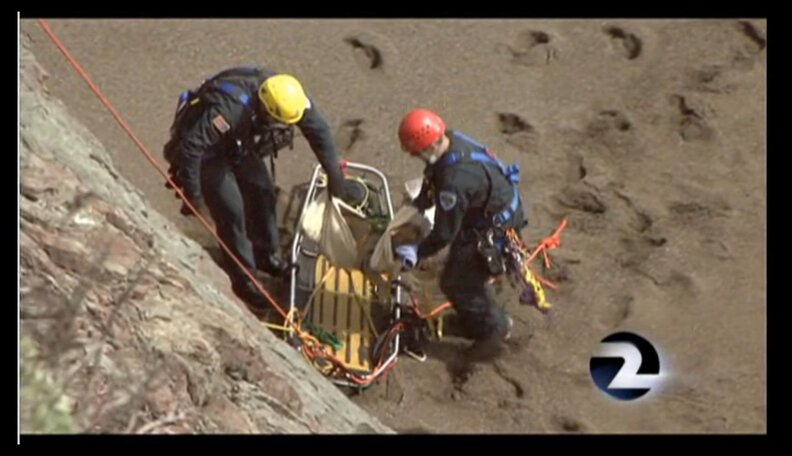 Firefighters Rescue Pit Bull After 200-Foot Fall From Cliff - The Dodo