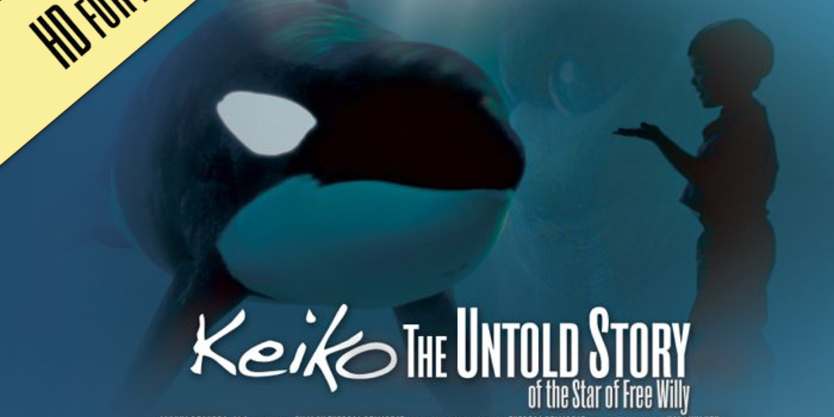 Keiko The Untold Story - The Star of Free Willy http://t.co/r3scVdaFm9 ...