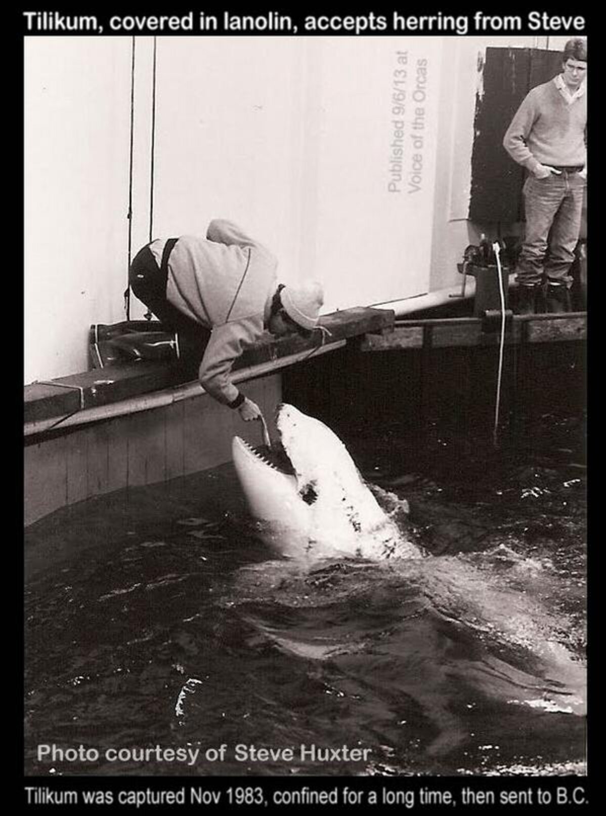 Confessions of #blackfish trainer Steve Huxter Sealand of the Pacific ...