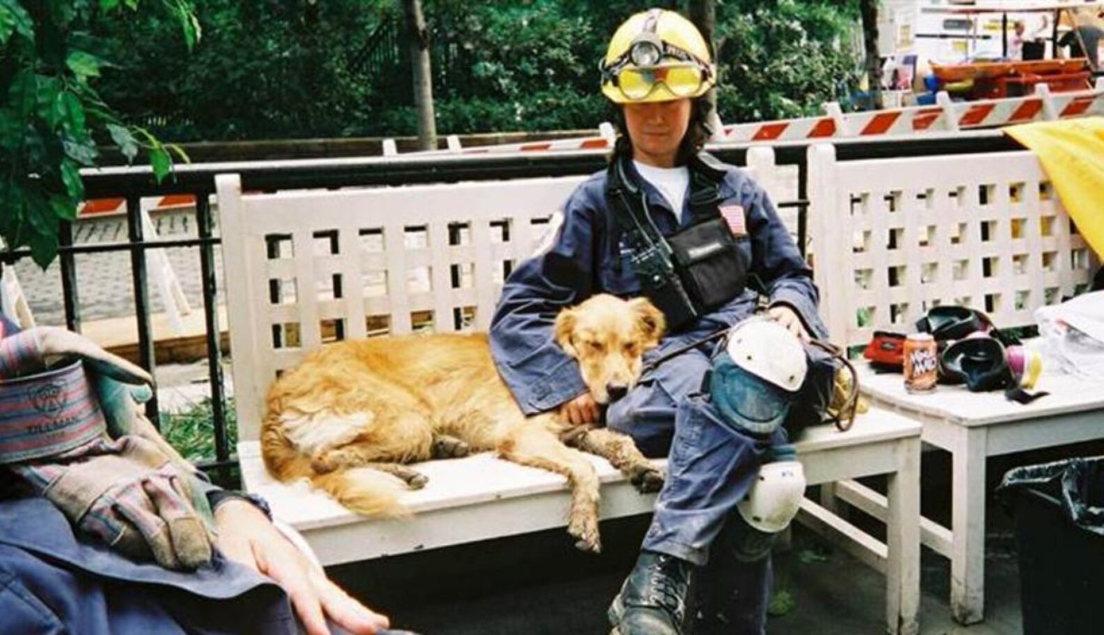 The Fascinating Science Behind Rescue Dogs And Other Animal Heroes ...
