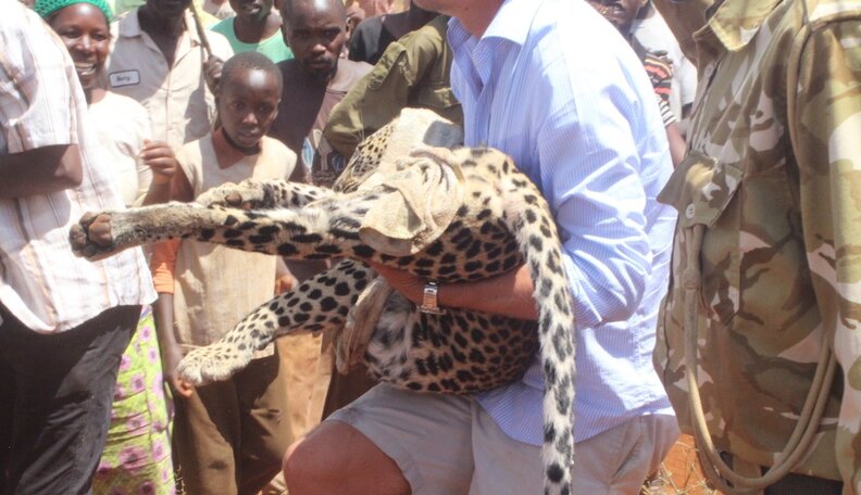 Leopard Trapped In Garden Was Terrified. And Then People Showed Up ...