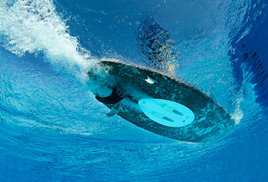 WaveJet - Entertainment - Thrillist San Diego