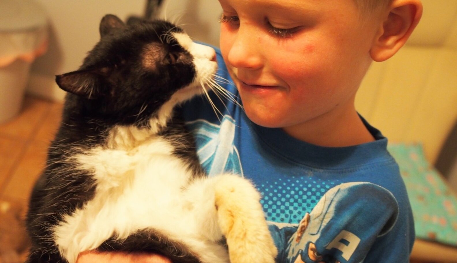 Little Boy Gave This 'Ancient' Cat The Best Life - The Dodo