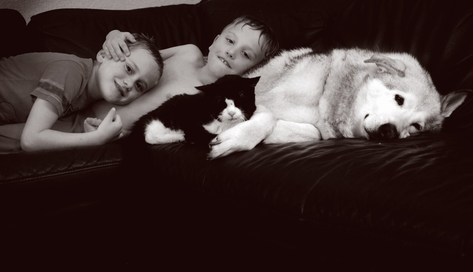 Little Boy Gave This 'Ancient' Cat The Best Life - The Dodo