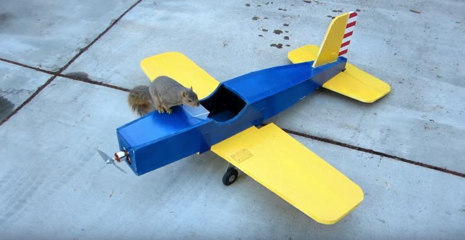 Man Claims Squirrel Stole His Model Plane, Has Video To Prove It - The Dodo