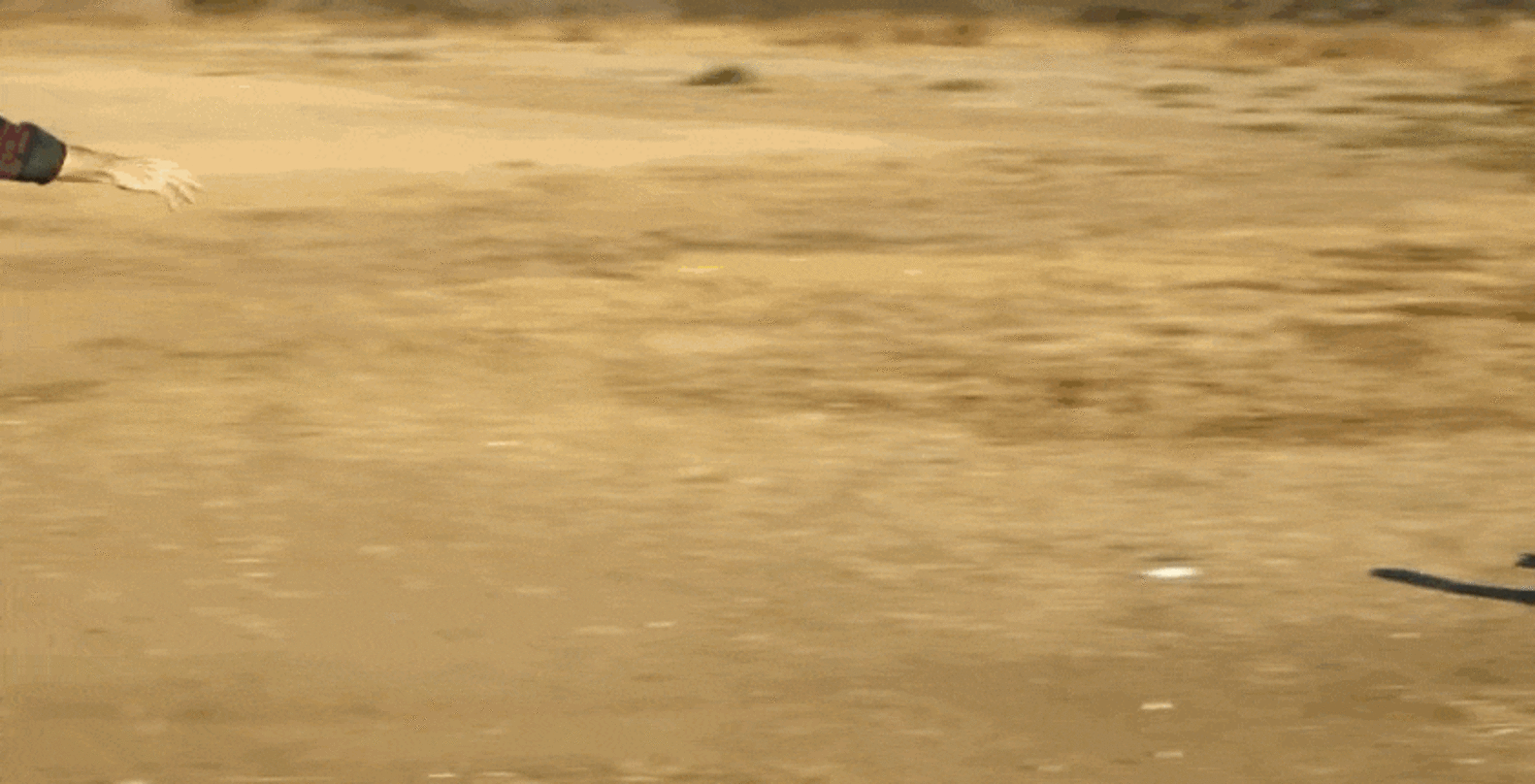 Man Claims Squirrel Stole His Model Plane, Has Video To Prove It - The Dodo