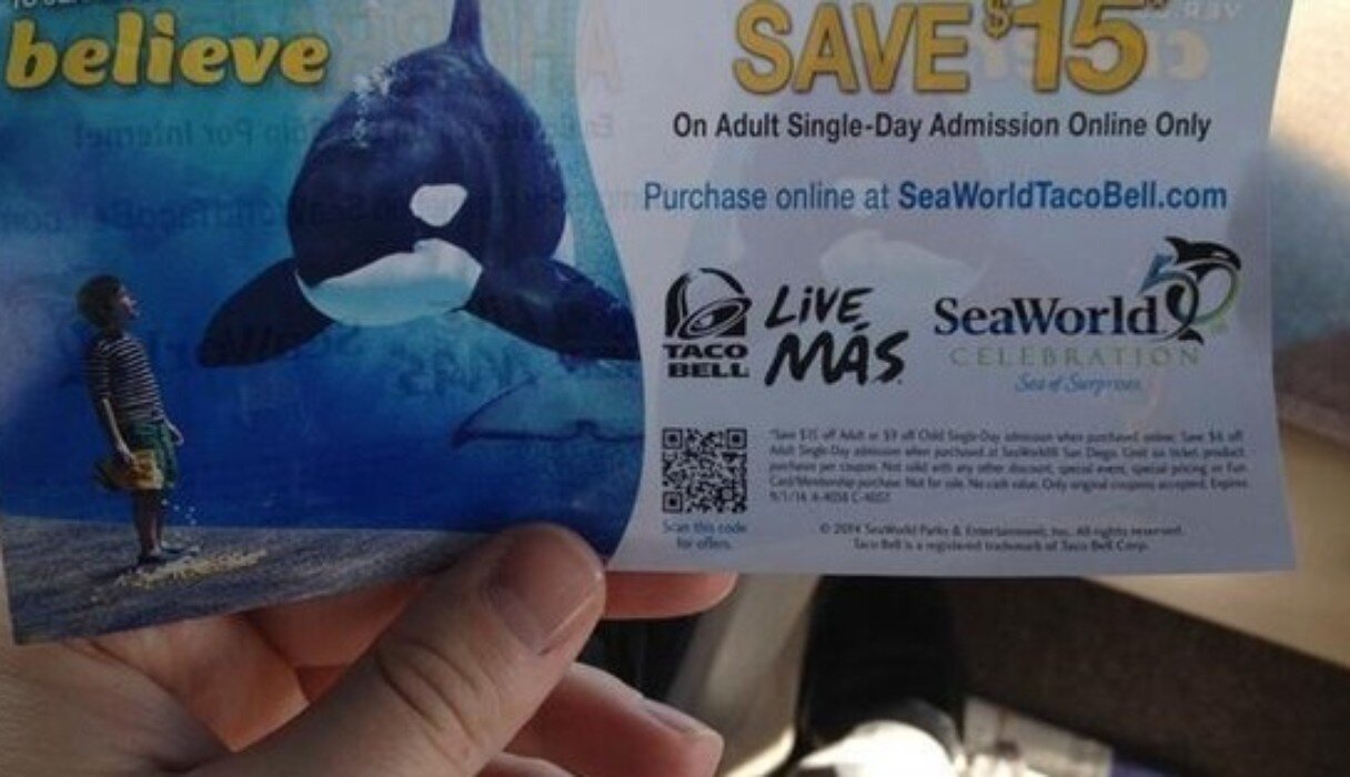 "Blackfish" Clout Soars, SeaWorld Attendance Plummets; Here Are 7 ...