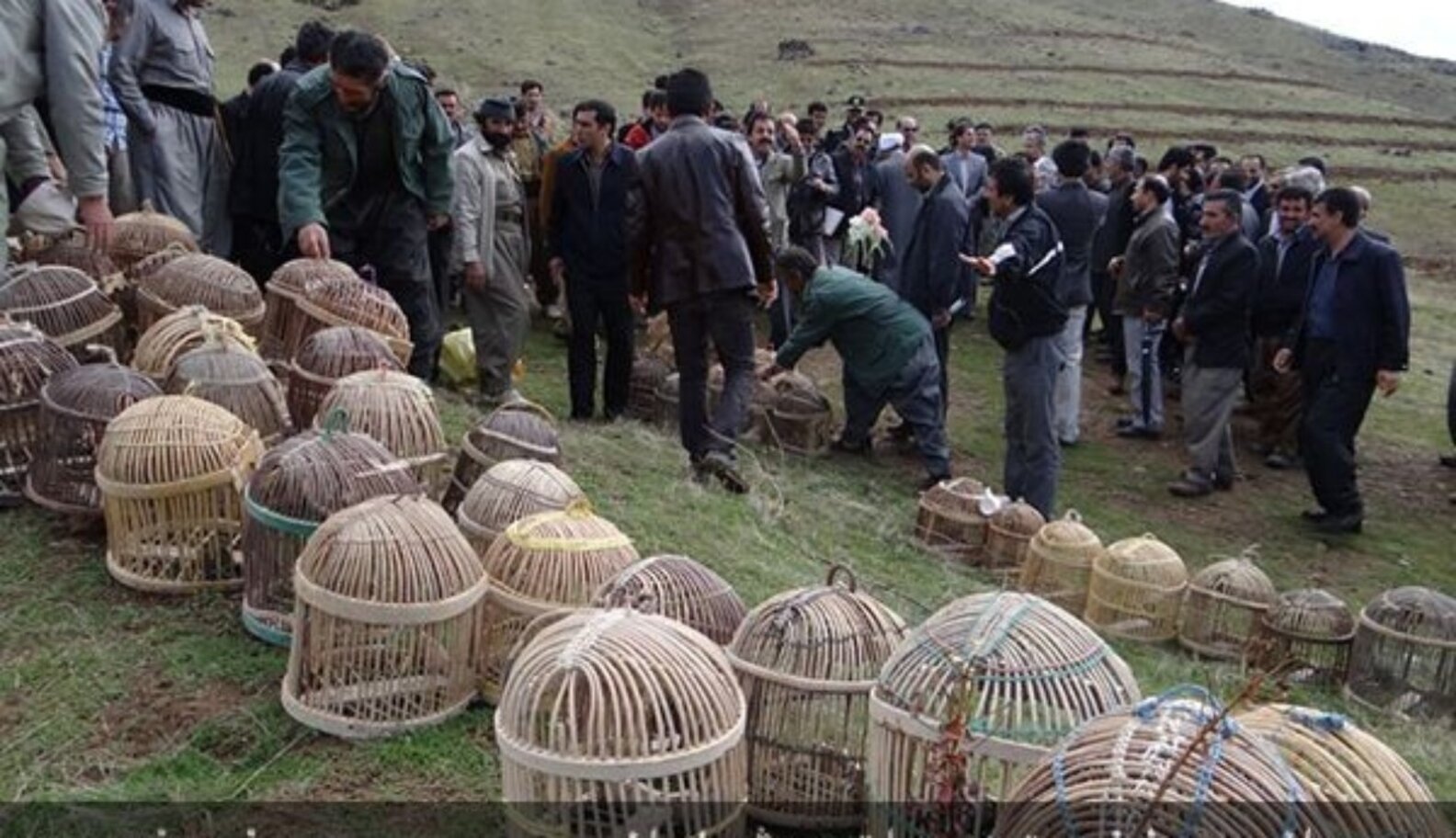 Hunters In Iran Destroy Their Weapons, Vow To Stop Killing Wildlife ...