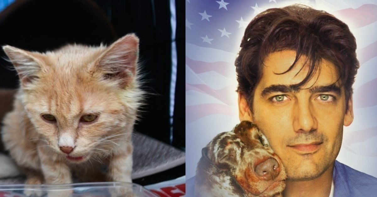 To The Humans And Animals That Protect Us Everyday - The Dodo