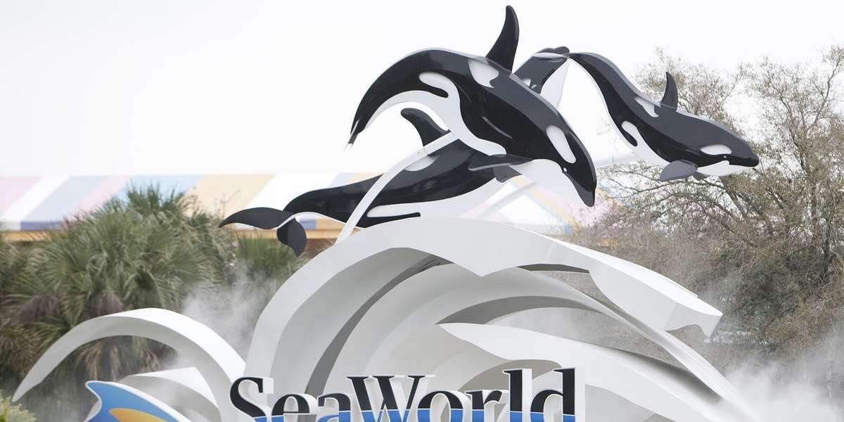 Exclusive: “Blackfish,” “The Cove” Creators Challenge SeaWorld To ...