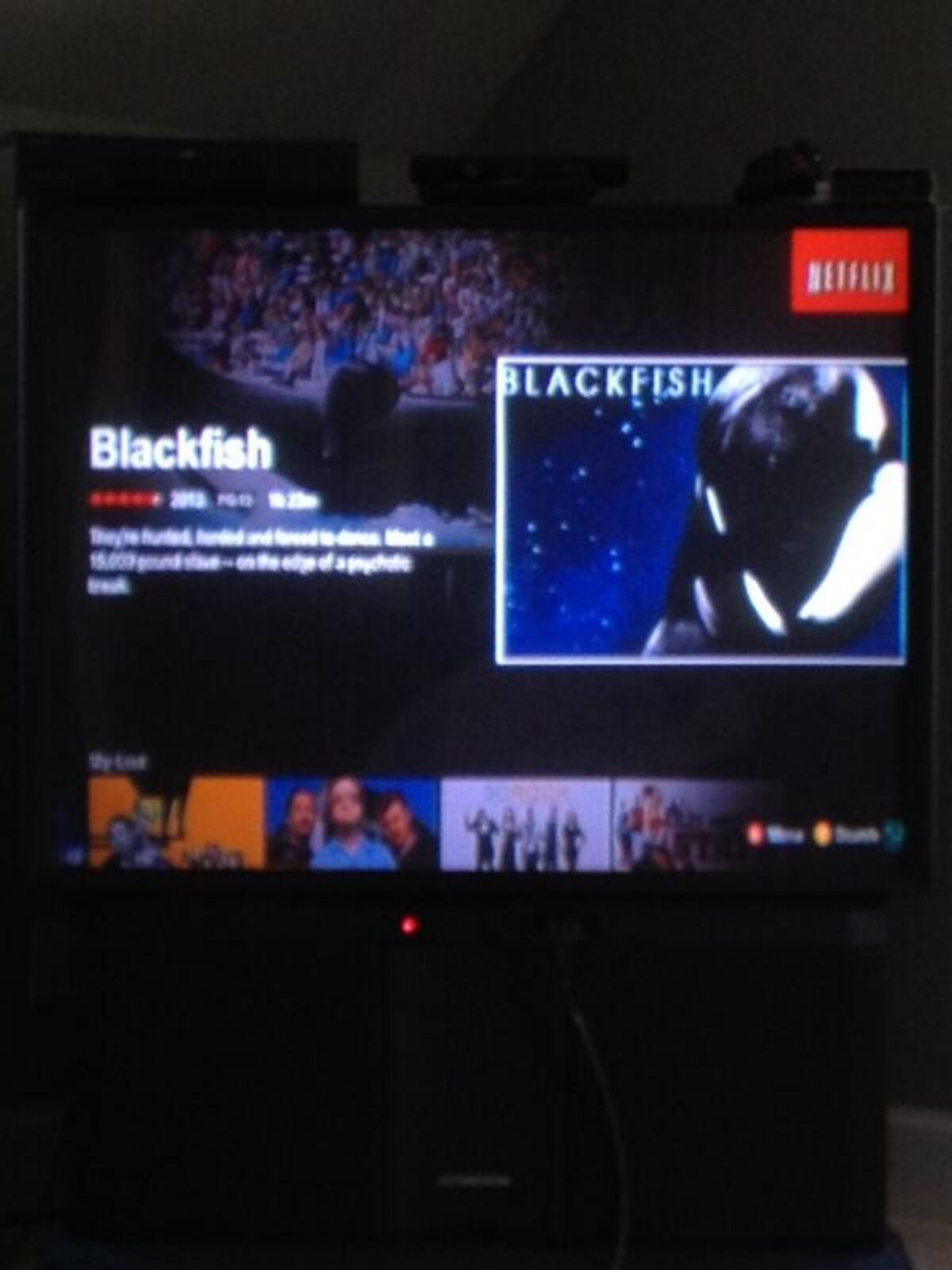 #Blackfish @alex_2731 @ThomasFarlow @Connor_Seaman http://t.co ...