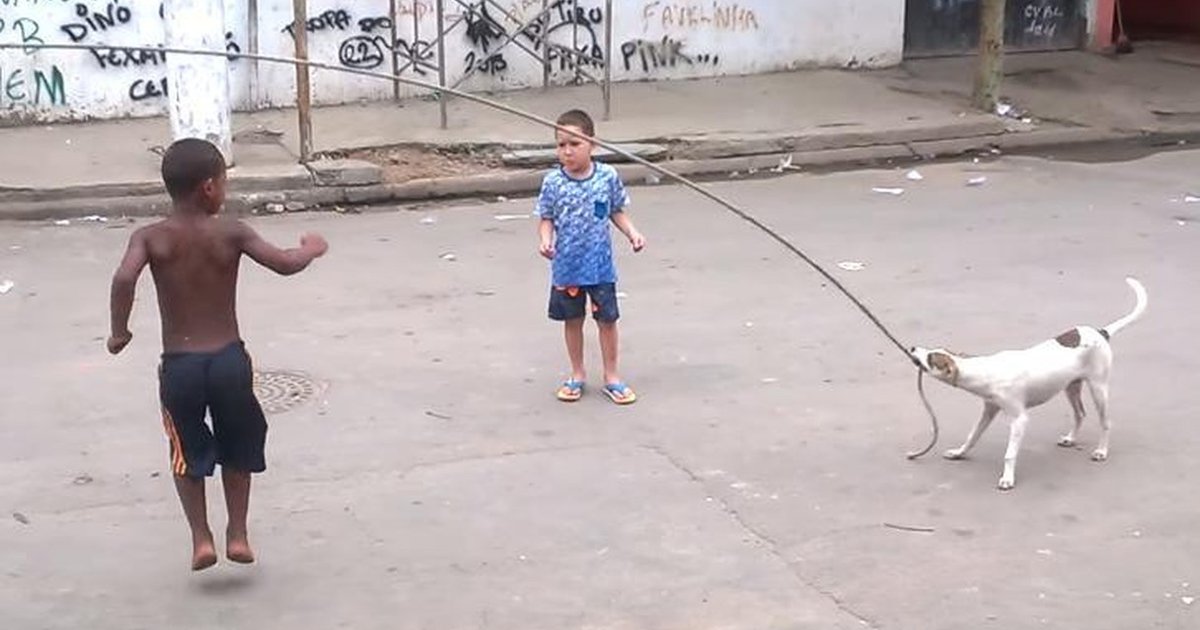 Dog With Jump Rope Knows The Perfect Way To Make New Friends - The Dodo