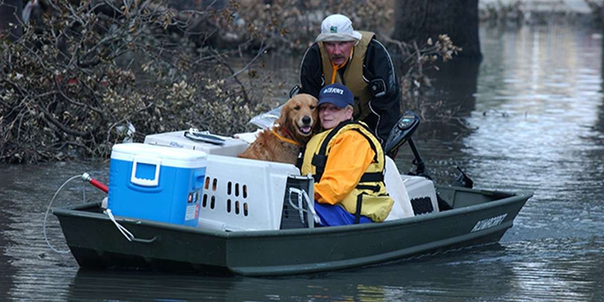 Katrina Took Everything From One Woman. Except Her Pets. - The Dodo