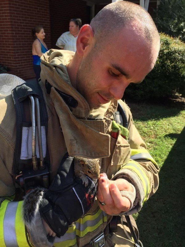 Baby Squirrel Runs Out Of Burning House Straight Into Firefighter's ...