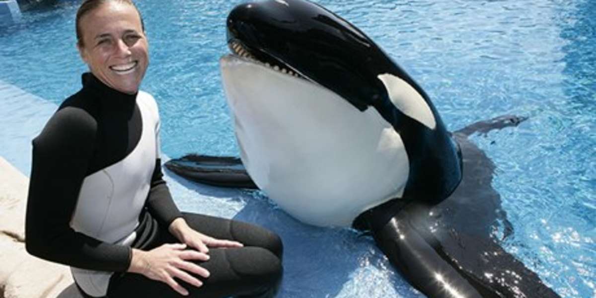 Guardian Article: #Blackfish, @SeaWorld and the backlash against killer ...
