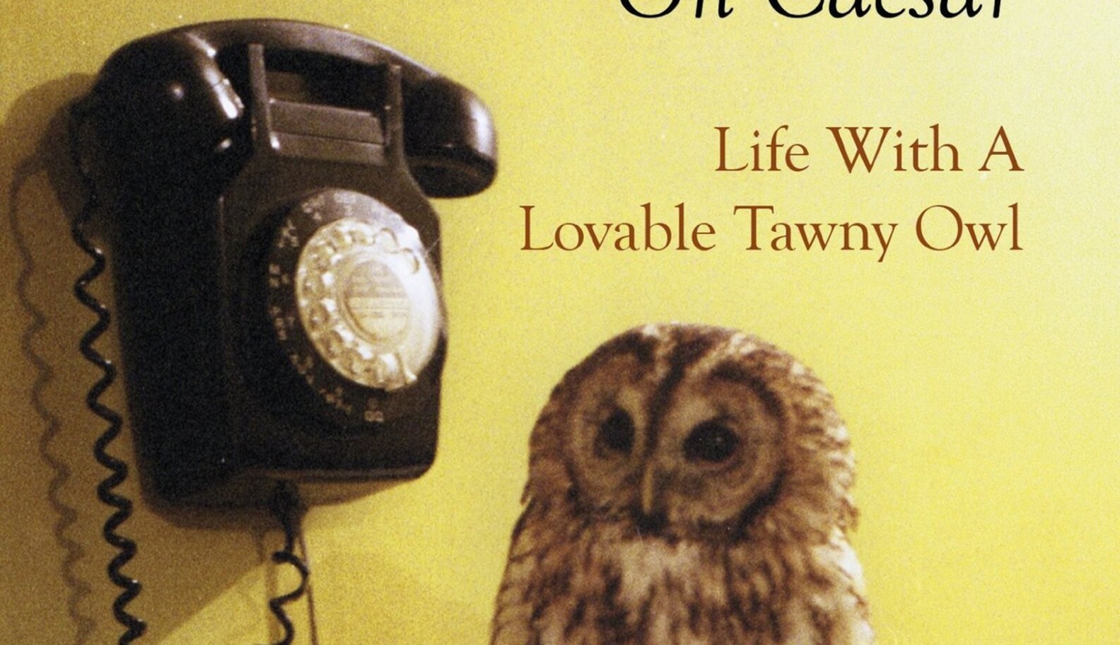 Dodo Reader: The 8 Animal Must-Read Books For This Summer - The Dodo