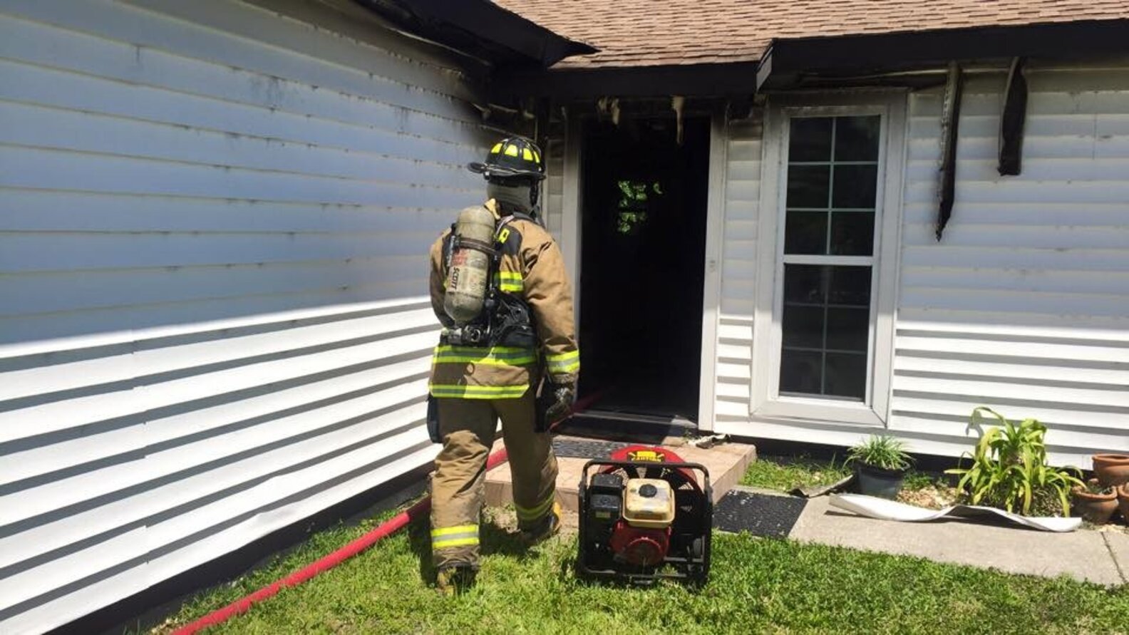 Firefighters Refuse To Let Guinea Pig Die In Burning House - The Dodo