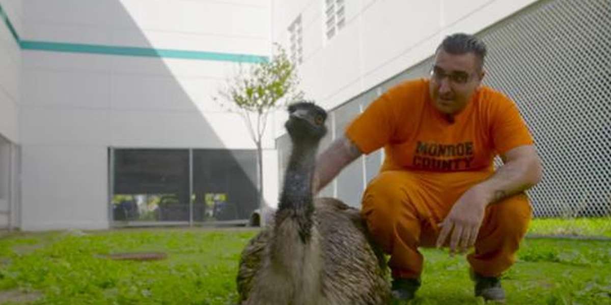 This Is What Happens When You Give Animals To Prisoners - The Dodo
