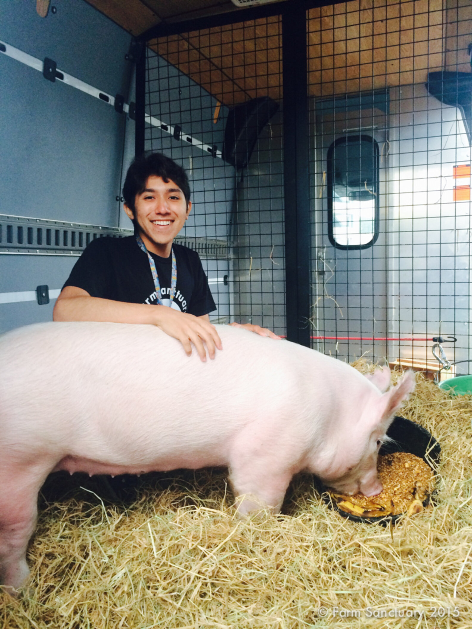 Boy Defies School To Save Pig He Loves - The Dodo