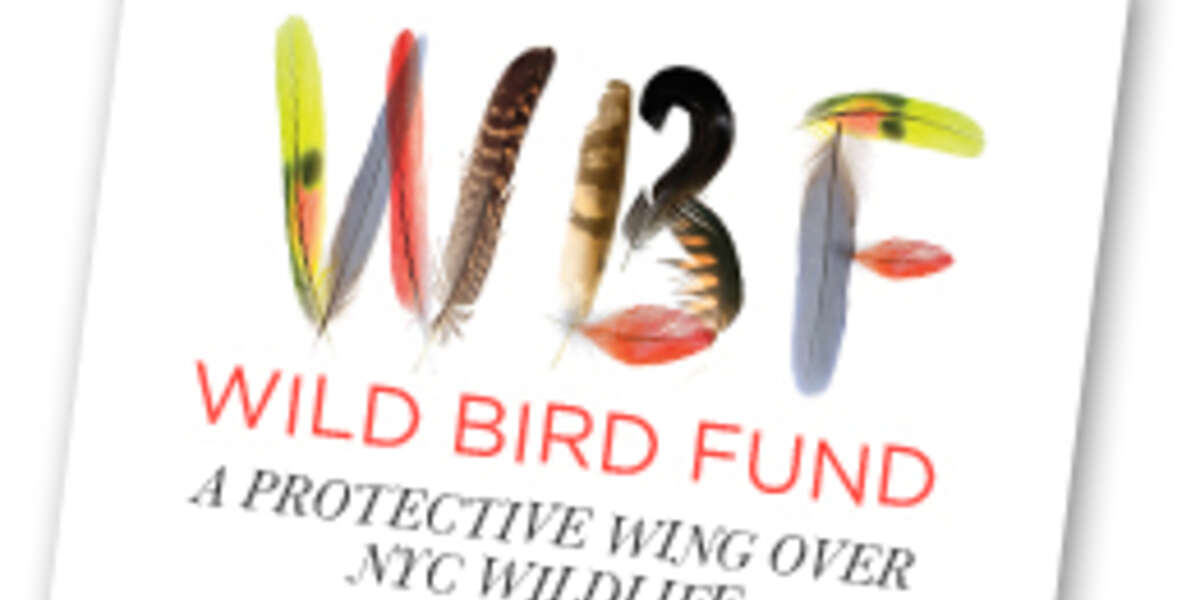 Wild Bird Fund - The Dodo