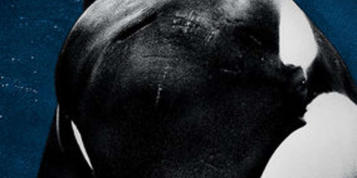 Have friends, family or co-workers that haven't seen #Blackfish yet ...