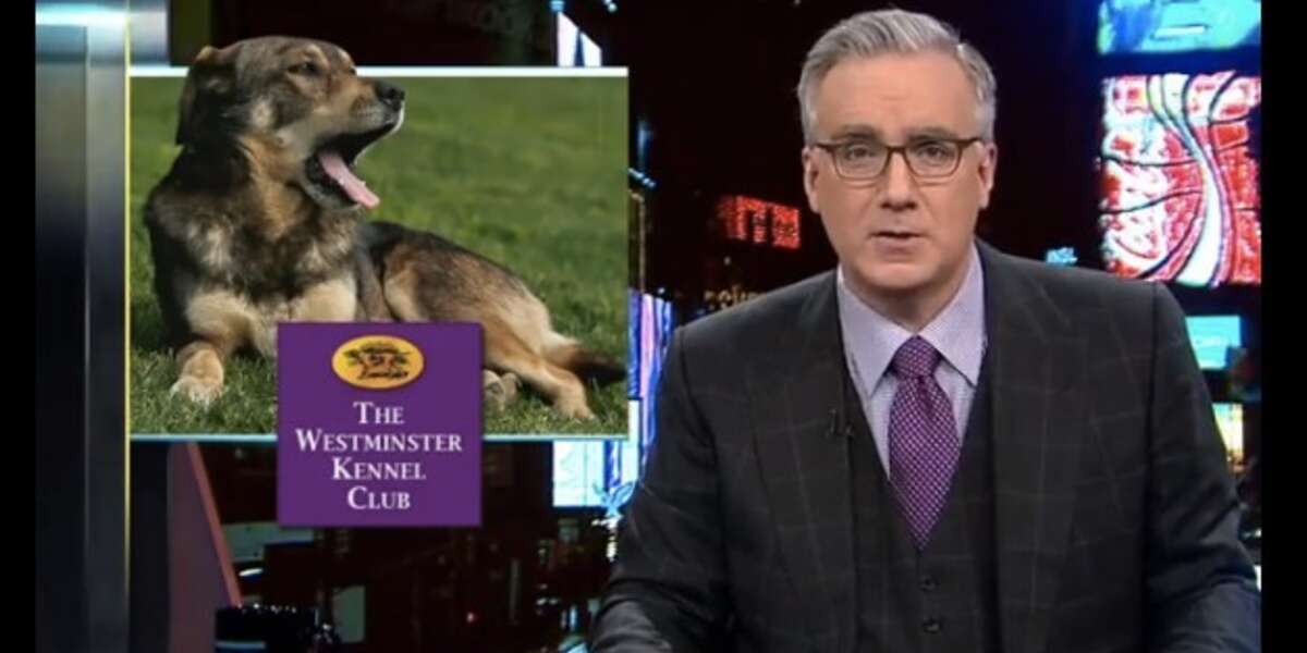 Olbermann: "Olympics Stained With The Blood Of Thousands Of Dogs" - The ...