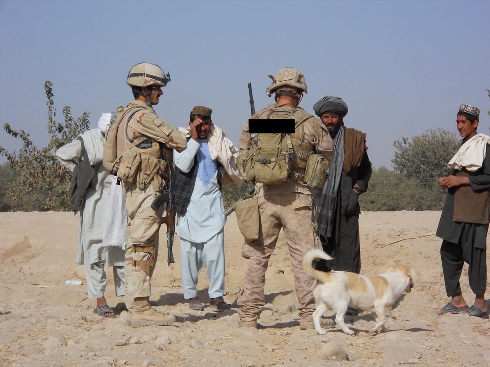 Marine Sees Stray Dog In Afghanistan And Knows What He Has To Do - The Dodo