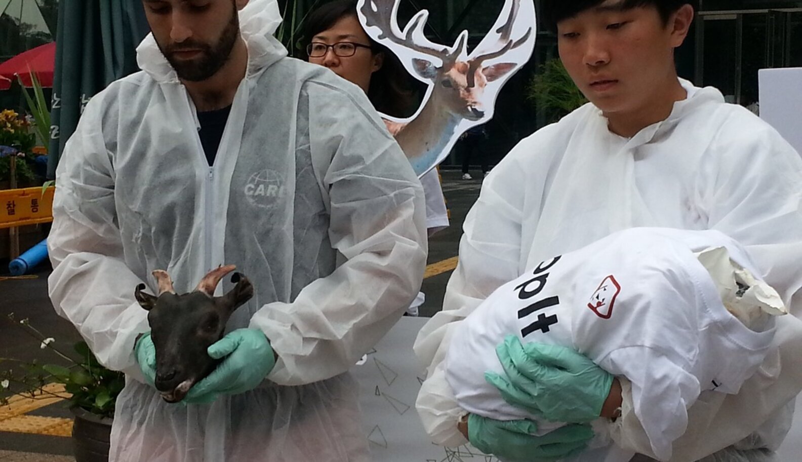 'Surplus' Zoo Animals Destined To Be Killed Get A Second Chance - The Dodo