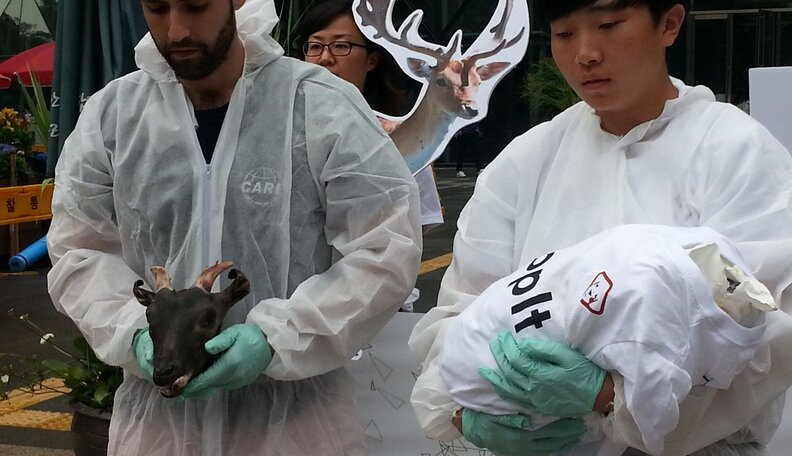 'Surplus' Zoo Animals Destined To Be Killed Get A Second Chance - The Dodo