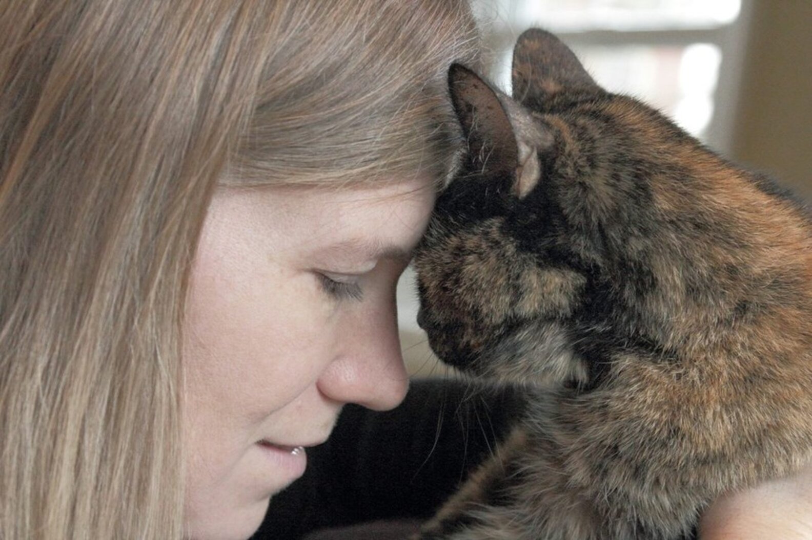 Photographer Captures Poignant Last Days Of Beloved Pets - The Dodo