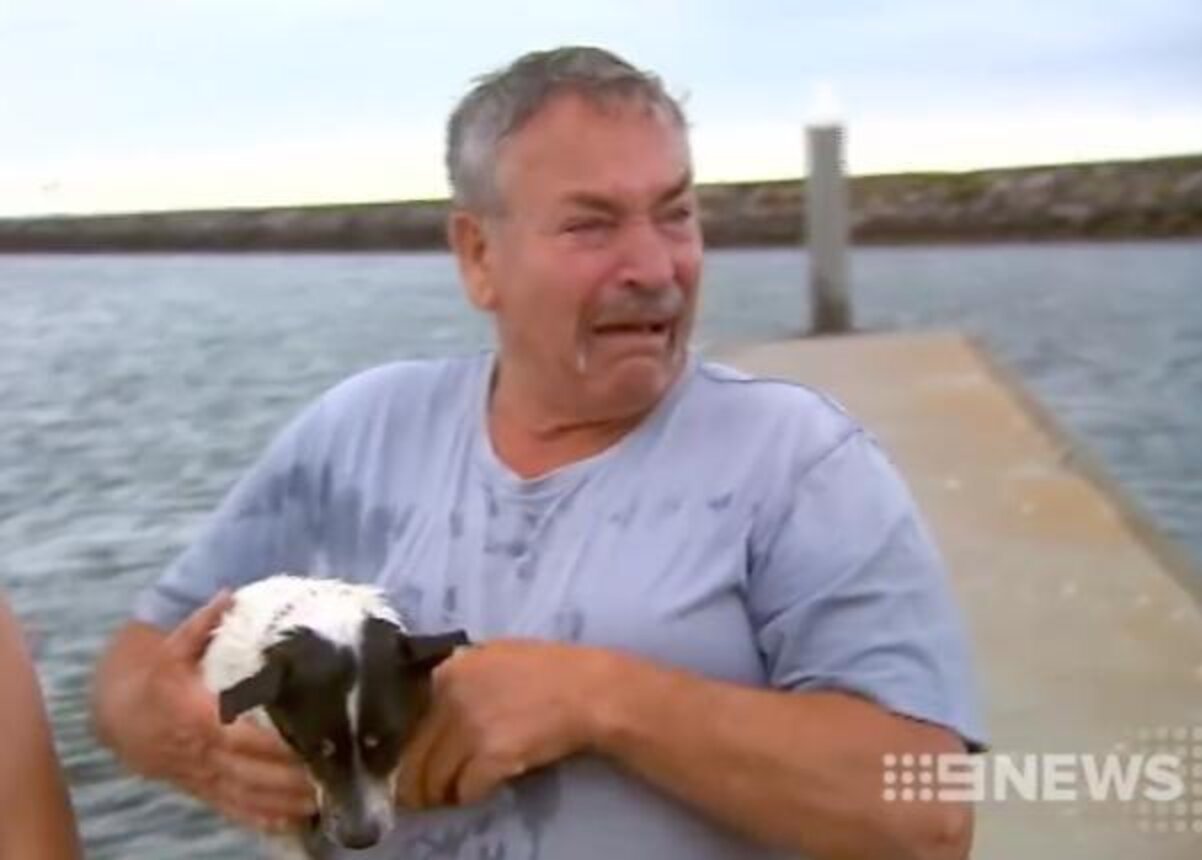 Man Overjoyed When The Puppy He Thought Was Lost At Sea Returns - The Dodo