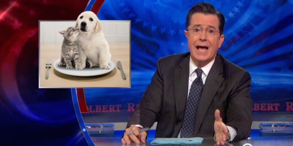 NRA Fights Pet-Eating Ban, Stephen Colbert Is Baffled - The Dodo