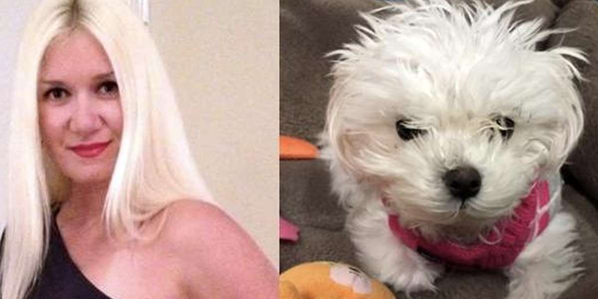 Woman Who Threw Puppy From Car Goes To Jail - The Dodo