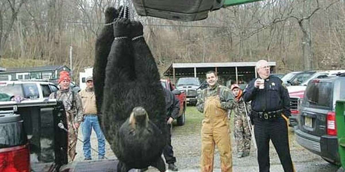 He’s One Of 472 Who Died In A Matter Of Days - The Dodo