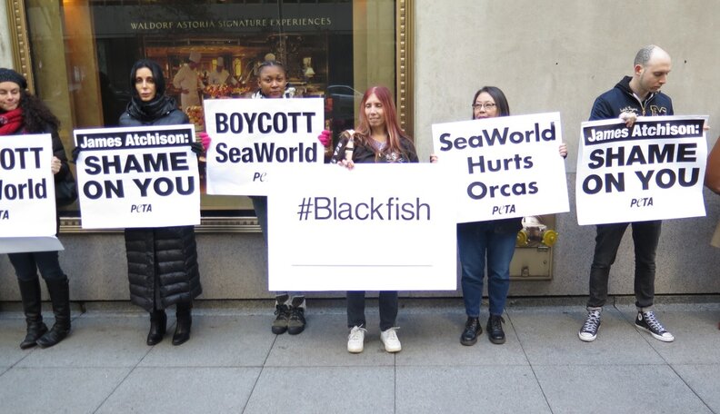 SeaWorld CEO Provokes Protest Outside Waldorf Astoria - The Dodo