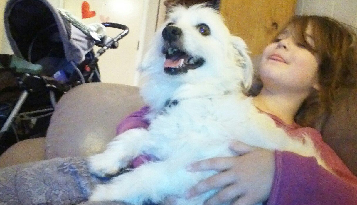 14 Reluctant Pet Parents ... Who Are Now Completely In Love - The Dodo