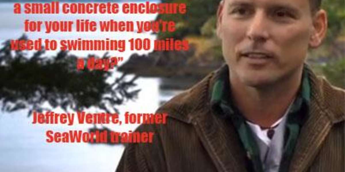 Could you imagine? Former SeaWorld trainer Jeffrey Ventre #Blackfish ...