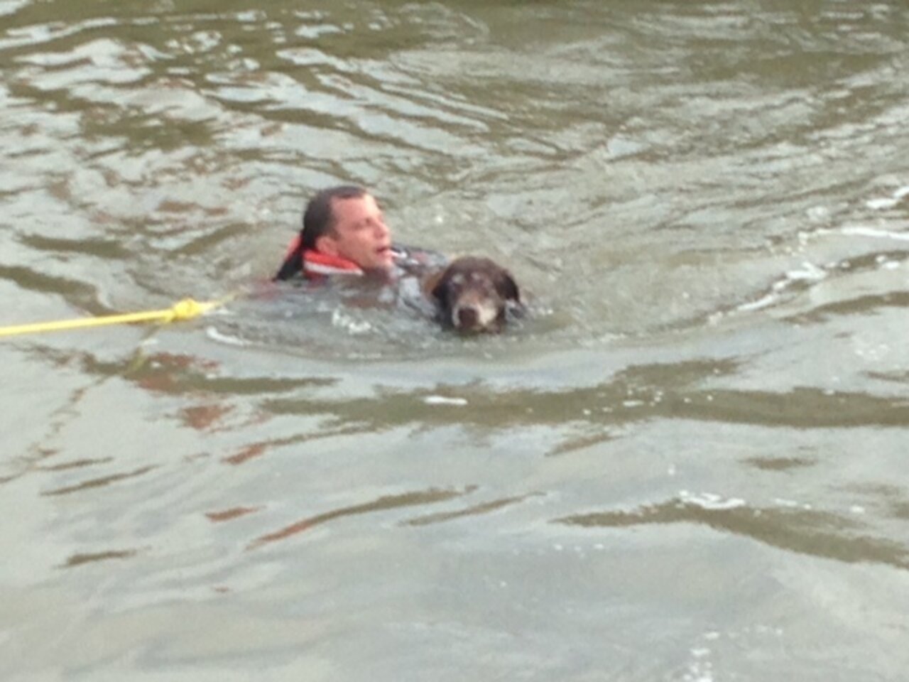 Man Leaps Into Rising Floodwaters To Save Drowning Dog - The Dodo
