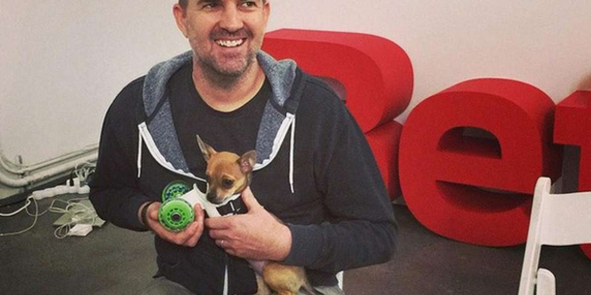 Turbo Roo, The Puppy Born With Two Legs, Meets The Stranger Who Changed ...