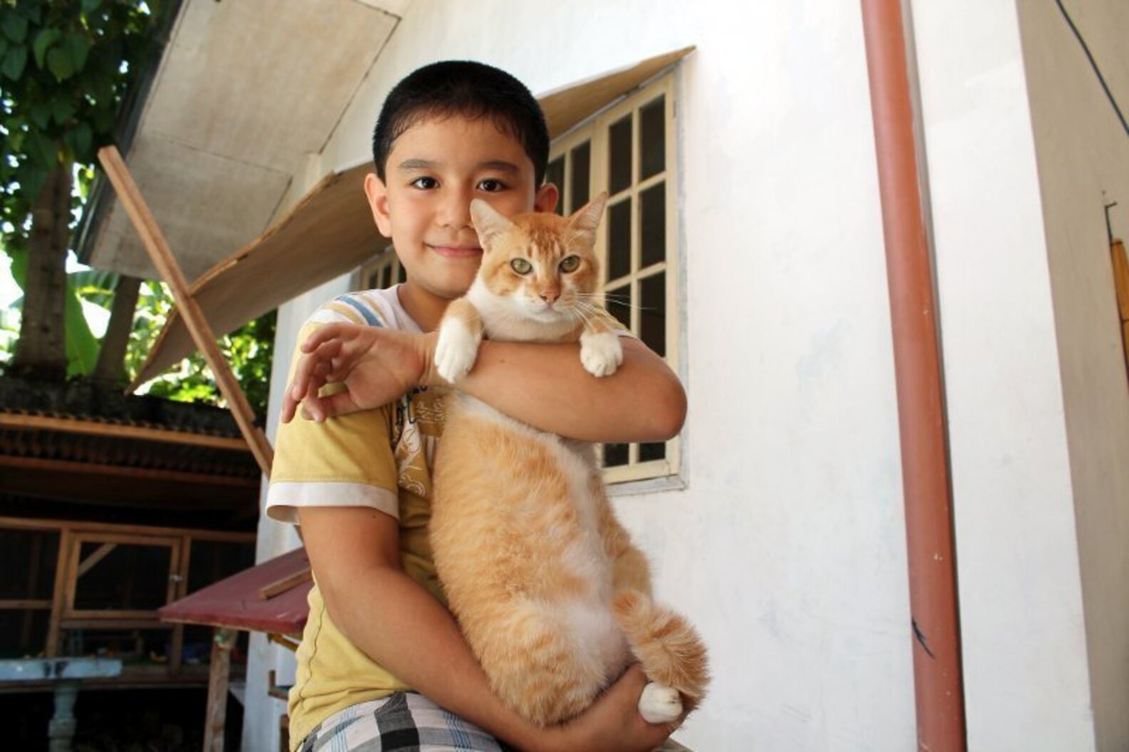 Dogs And Cats Undergo Incredible Transformation, Thanks To 10-Year-Old ...