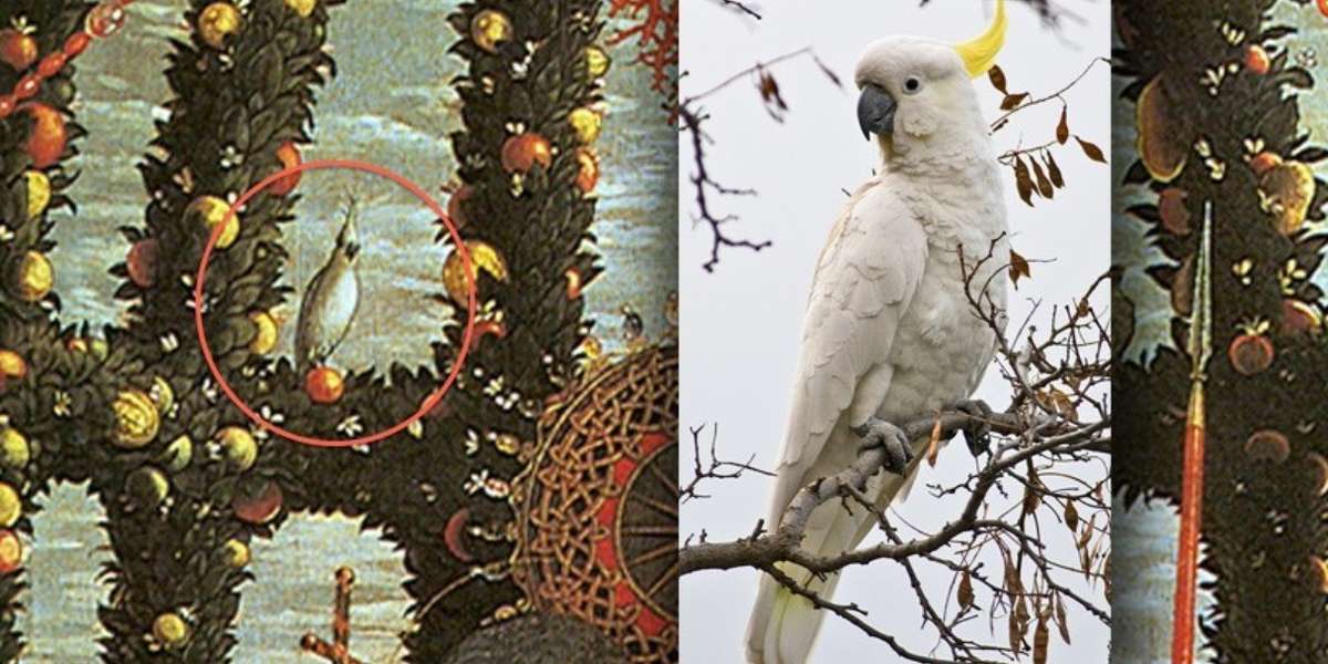 Cockatoo Found In 500-Year-Old Painting Forces A Rethinking Of History ...