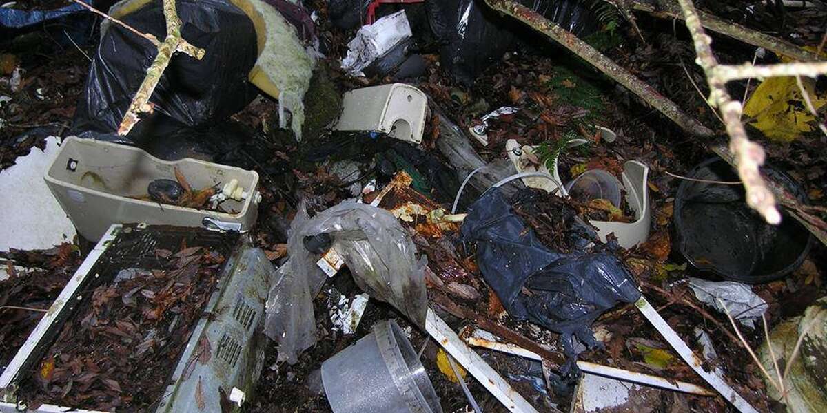 Woman Stumbles Across A Garbage Pile With The Most Heartbreaking ...