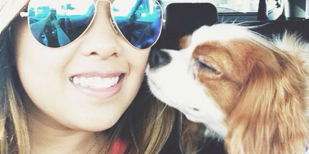 Quarantined Dog, Bentley, To Reunite With Owner After Both Test ...