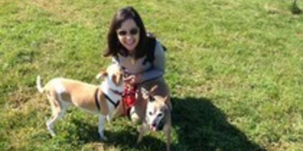 Gail Gilmore - The Dodo