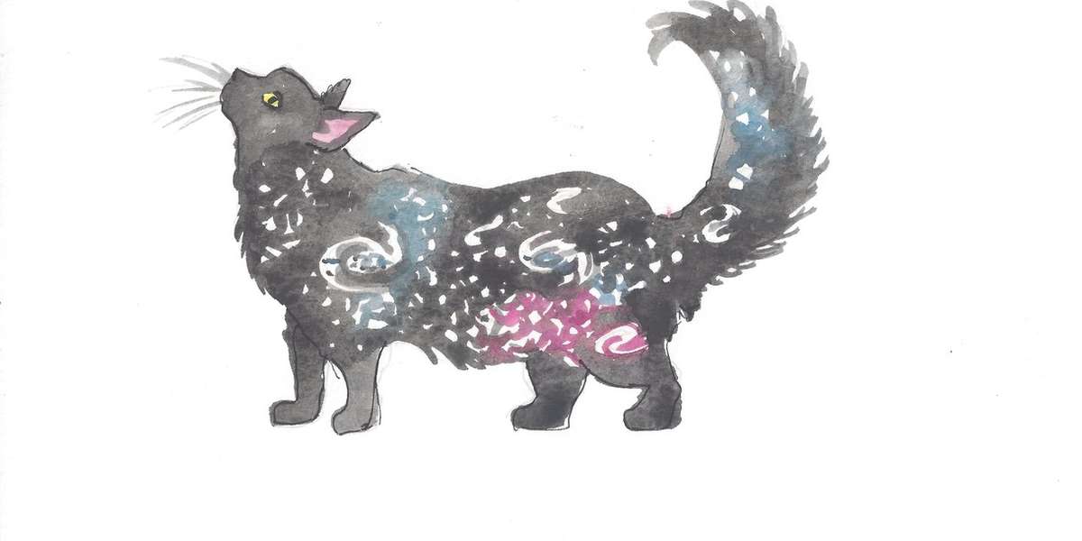 GALAXY CAT - The Dodo