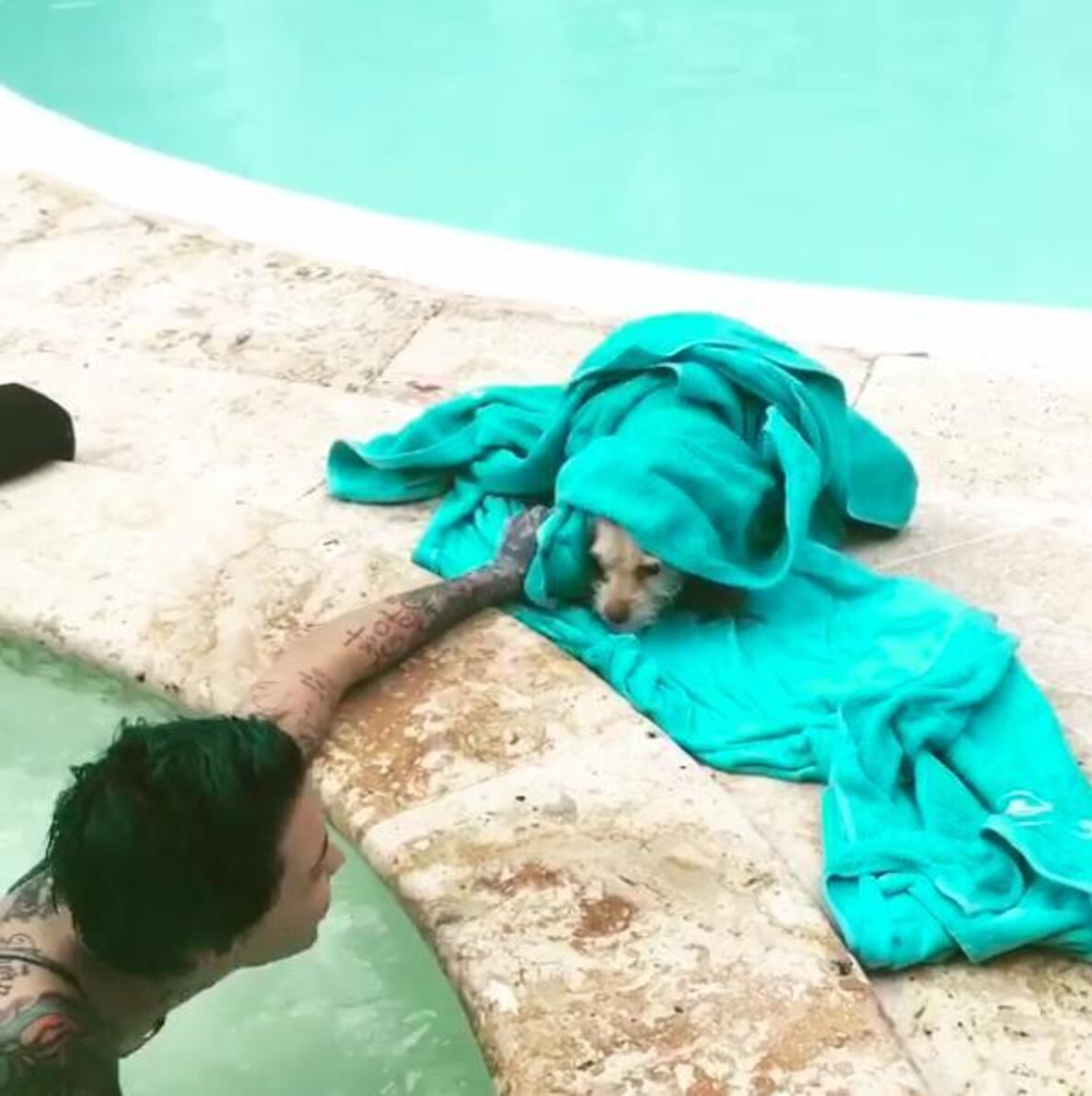 'Orange Is The New Black' Star Treats Rescue Dog To A Tropical Vacation ...