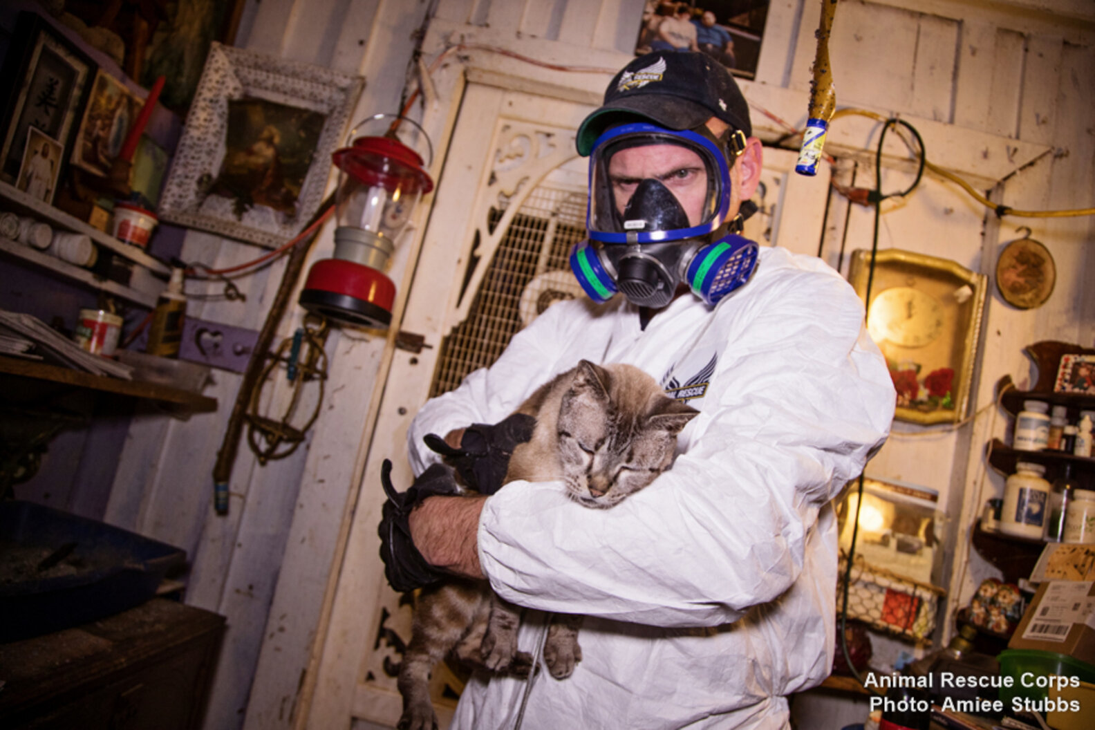 Group Saves Dozens Of Terrified Animals In One Day — Then Gets A Call ...